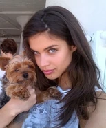 Maverick Potter | Harry Potter Mischief Wiki | Fandom