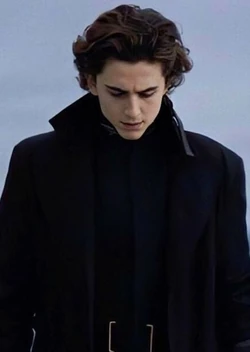 Regulus Arcturus Noir