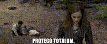 Shield Charm | Harry Potter Spells Wiki | Fandom