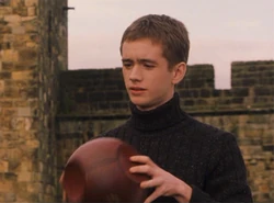 Quaffle | Harry Potter through another looking glass Wiki | Fandom