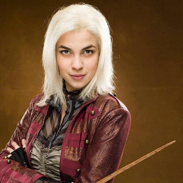 Tonks family | Harry Potter through another looking glass Wiki | Fandom