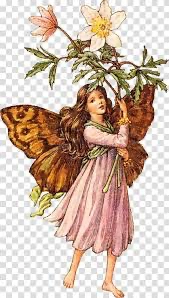 Fairy | Harry Potter through another looking glass Wiki | Fandom