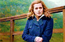 Confundus Charm | Harry Potter through another looking glass Wiki | Fandom