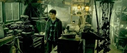 Muggles | Harry Potter through another looking glass Wiki | Fandom