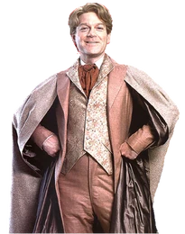 Gilderoy Lockhart | Harry Potter through another looking glass Wiki ...