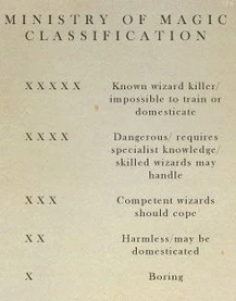 Ministry of Magic Classifications | Harry Potter through another ...