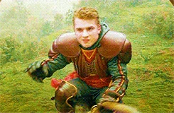 Confundus Charm | Harry Potter through another looking glass Wiki | Fandom