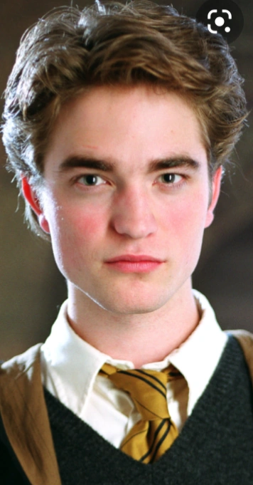 Cedric Diggory | Harry Potter Wiki | Fandom