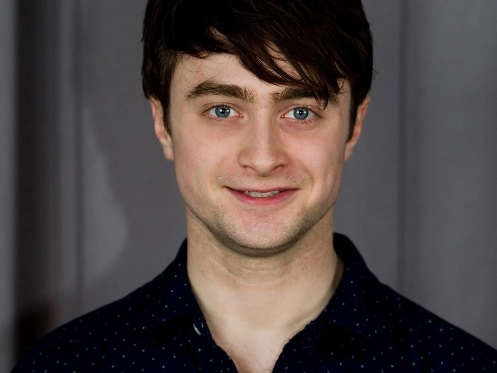 Daniel Radcliffe | Harry, Ron and Hermione's Adventures Series Wiki ...