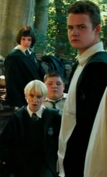 Gregory Goyle | Harry/Albus Potter Wiki | Fandom