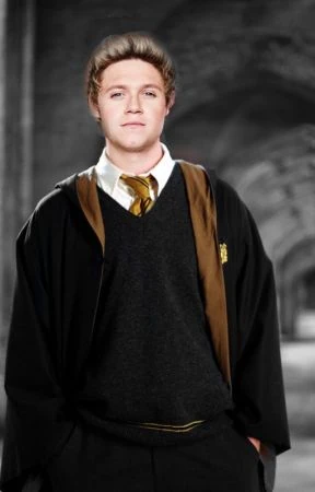 Stanley Ingham | Harry/Albus Potter Wiki | Fandom