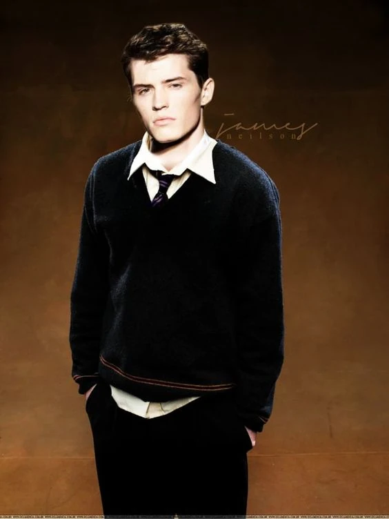 Head Boy | Harry/Albus Potter Wiki | Fandom