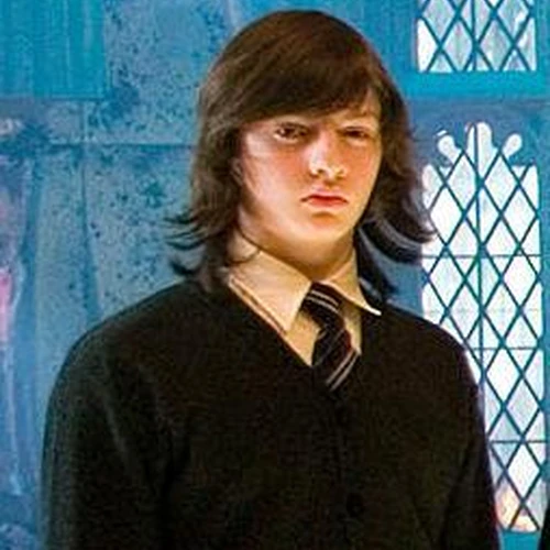 Lisa Turpin Harry Potter