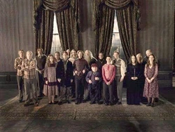 Order of the Phoenix | Harry/Albus Potter Wiki | Fandom