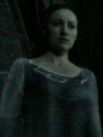 Ravenclaw family | Harry Potter Wiki | Fandom