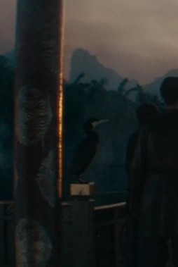 Cormorant | Harry Potter Wiki | Fandom