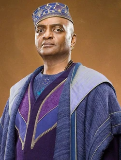 Kingsley Shacklebolt | Harry Potter Wiki | Fandom
