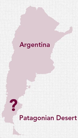 Patagonian Desert Location