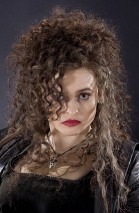 Delphini | Harry Potter Wiki | Fandom