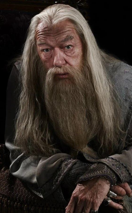 Albus Dumbledore | Harry Potter Wiki | Fandom