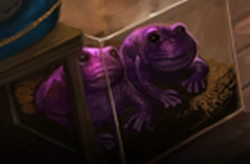 Gigantisk lila padda | Harry Potter-wikin | Fandom