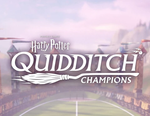 Harry Potter : Champions de Quidditch | Wiki Harry Potter | Fandom