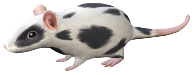 Dalmatian rat | Harry Potter Wiki | Fandom