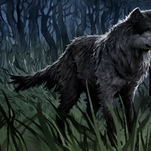 how to draw a werewolf from harry potter