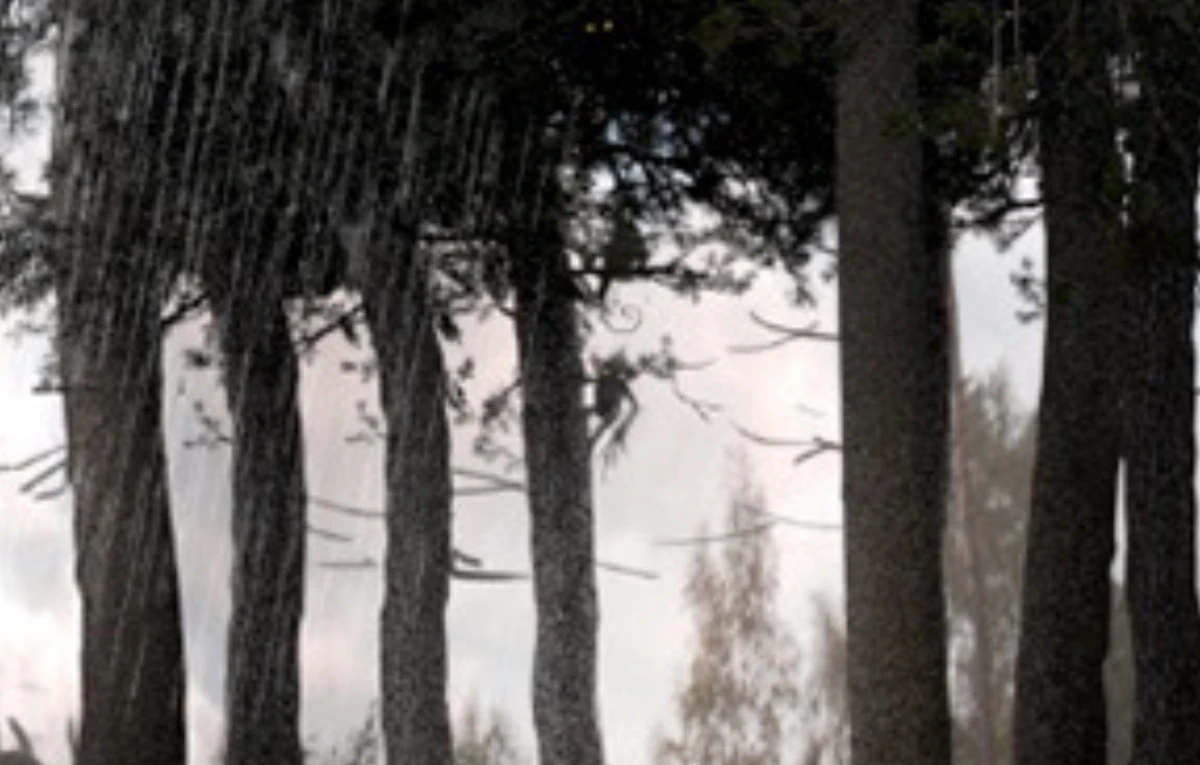 Small humanoid creature | Harry Potter Wiki | Fandom