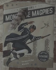 Стоунхейвенские сороки | Гарри Поттер вики | Fandom