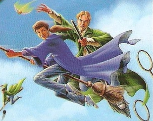 Blocking | Harry Potter Wiki | Fandom