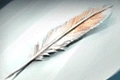 Self-Spelling Quill | Harry Potter Wiki | Fandom
