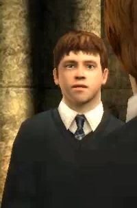 Terry Boot | Harry Potter Wiki | Fandom