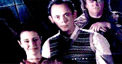 Alice Longbottom | Harry Potter Wiki | Fandom