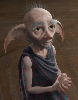 Deek | Harry Potter Wiki | Fandom
