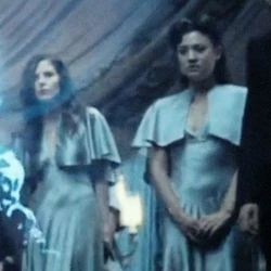 Veela Harry Potter World Cup