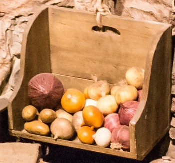Onion | Harry Potter Wiki | Fandom