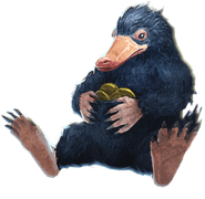 Snaso | Harry Potter Wiki | Fandom