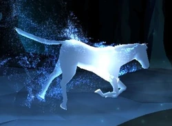 What Does Chow Dog Patronus Mean