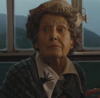 Trolley Witch | Harry Potter Wiki | Fandom