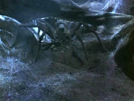 Aragog | Harry Potter Wiki | Fandom