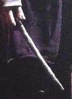 Delphini | Harry Potter Wiki | Fandom