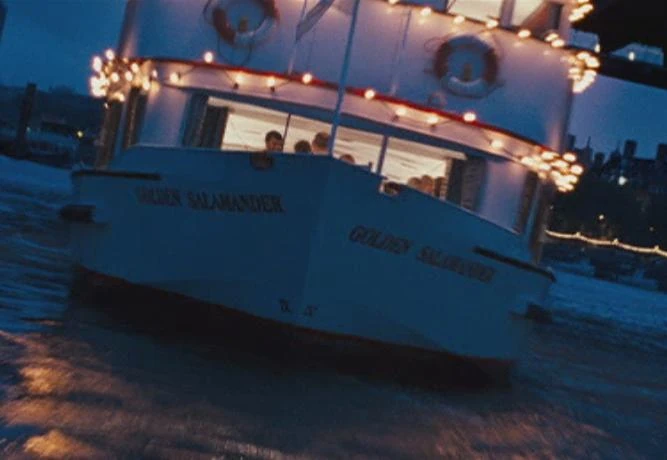 Golden Salamander | Harry Potter Wiki | Fandom