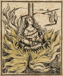 International Statute of Wizarding Secrecy | Harry Potter Wiki | Fandom