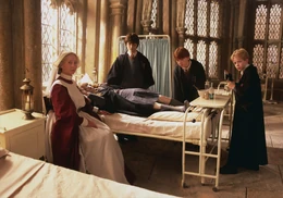 Hermione Granger | Harry Potter Wiki | Fandom