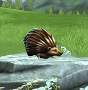 Magical Creatures Reserve | Harry Potter Wiki | Fandom