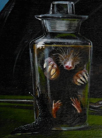 Mole | Harry Potter Wiki | Fandom