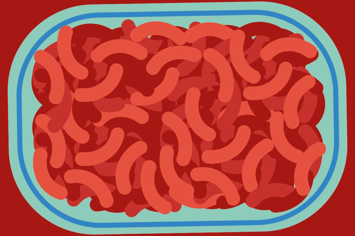 Chipolata | Harry Potter Wiki | Fandom