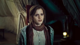 Hermione Granger | Harry Potter Wiki | Fandom
