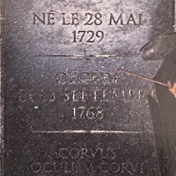 lestrange family tree box